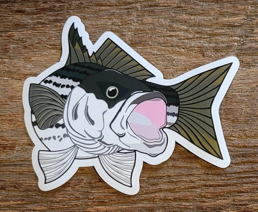 Striper Sticker Decal - Walmart.com
