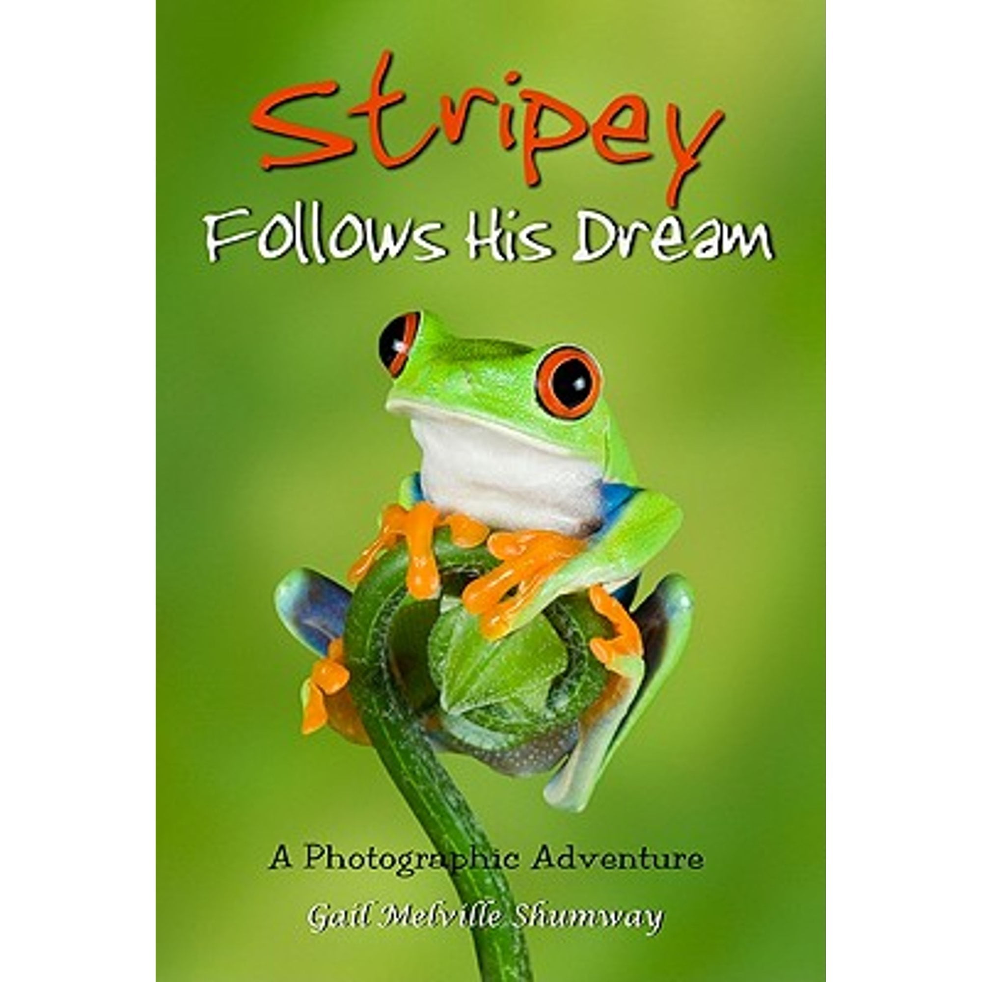 Pre-Owned Stripey Follows His Dream (Hardcover) 0982461178 ...