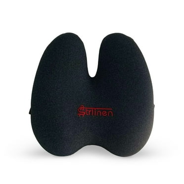 Cubii Cushii V2 Back Support Cushion for Back and Lower Back Pain ...