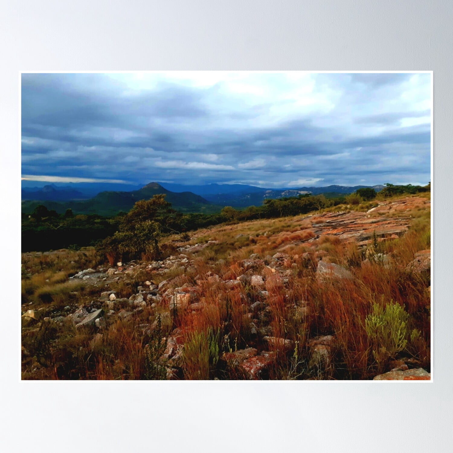 Stroll Through Nature Poster Wall Art, Modern Wall Decor, 16x24 ...