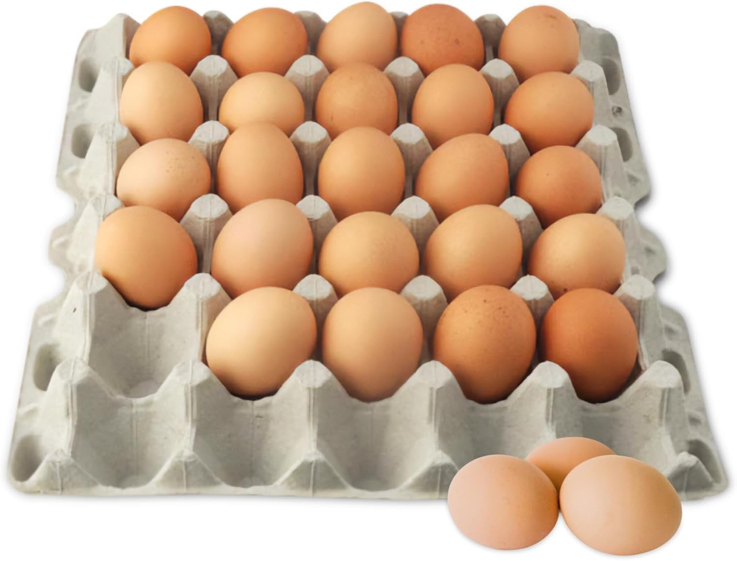 Stromberg's 30-Count Paper Egg Filler Flats, Biodegradable Bulk Egg ...
