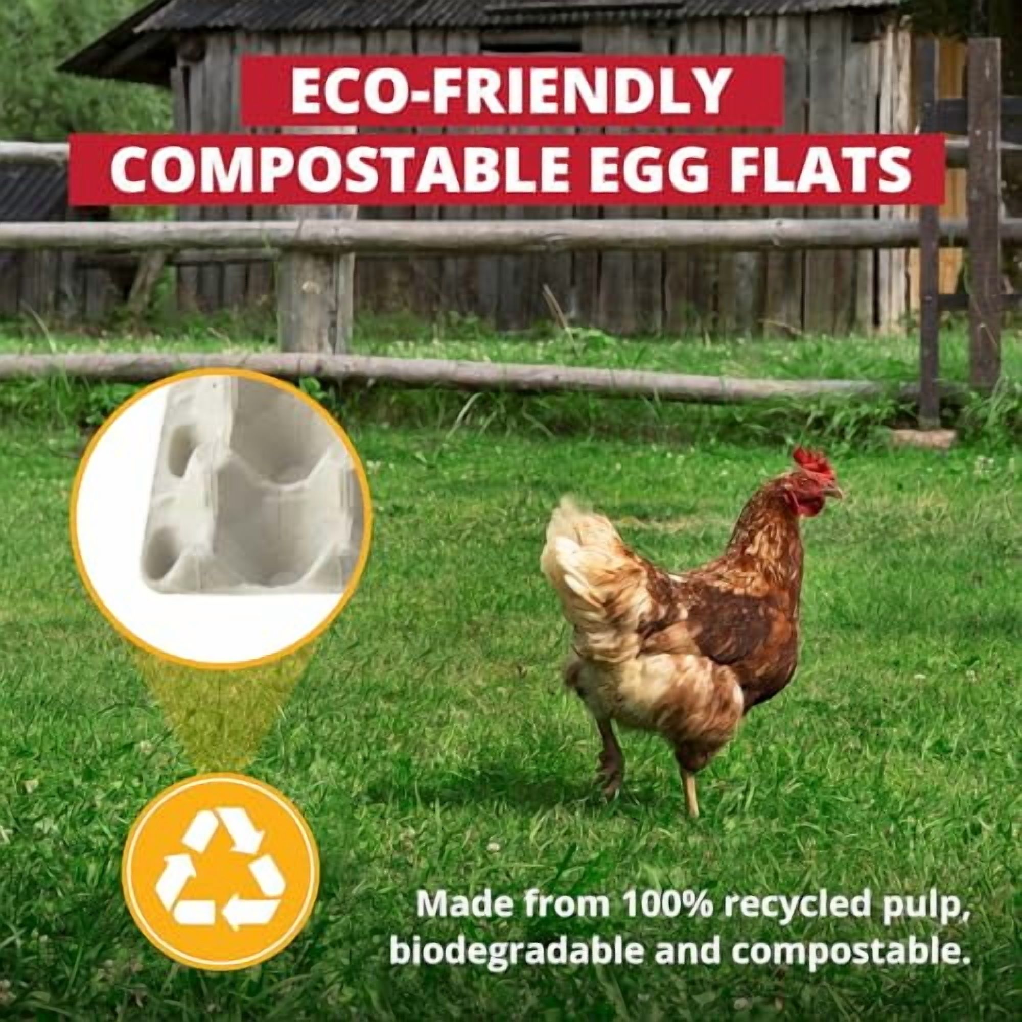 Stromberg's 30-Count Paper Egg Filler Flats, Biodegradable Bulk Egg ...