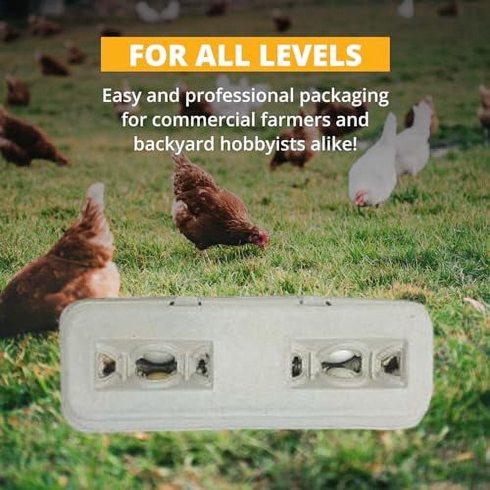 Stromberg's Large Blank Egg Cartons, Bulk Pack for Large Eggs, Perfect ...
