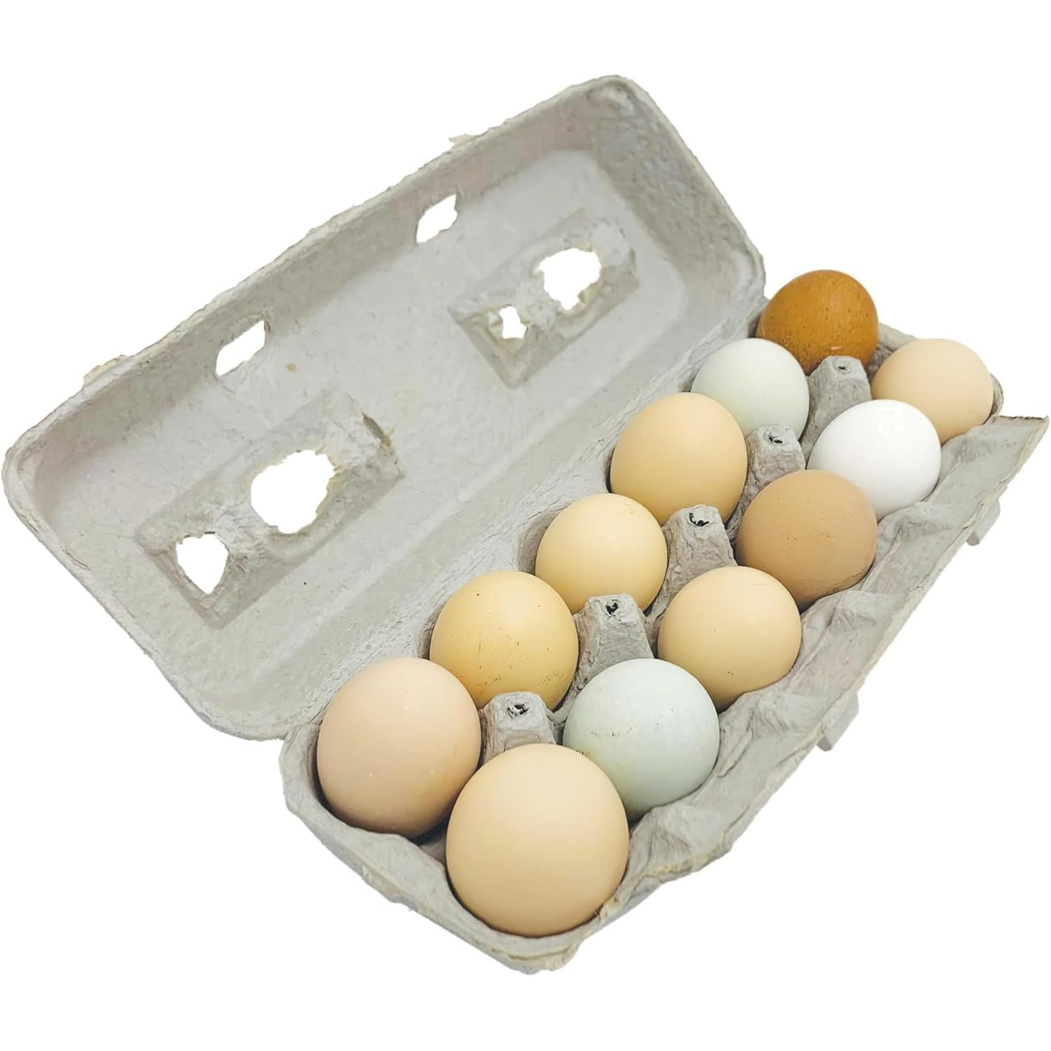 Stromberg's Large Blank Egg Cartons, Bulk Pack for Large Eggs, Perfect ...