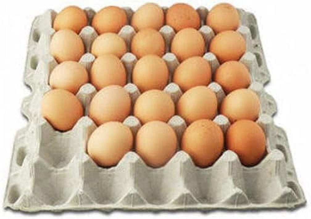 Stromberg's Paper Egg Filler Flats | 30 Eggs Per Flat | Biodegradable ...