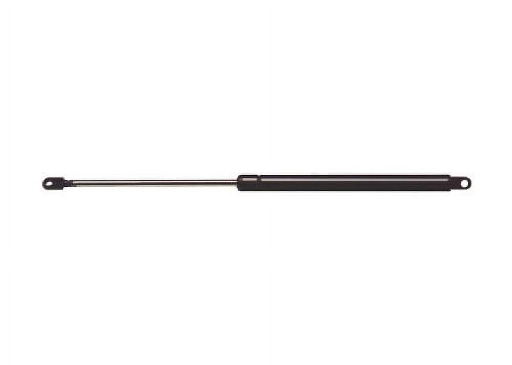 Strong Arm 4628 Hood Lift Support for 51231869147 901281 SG302003 Body ...