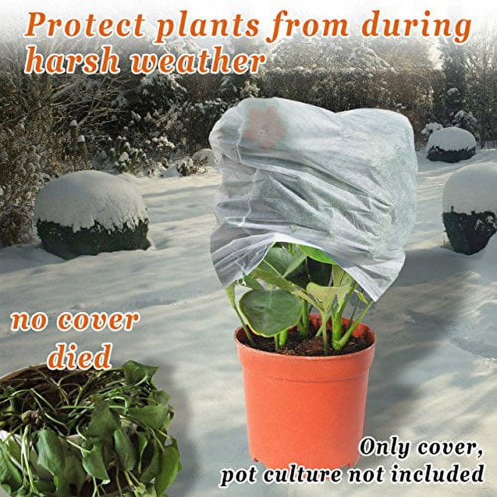 Strong Camel Warm W - Walmart.com