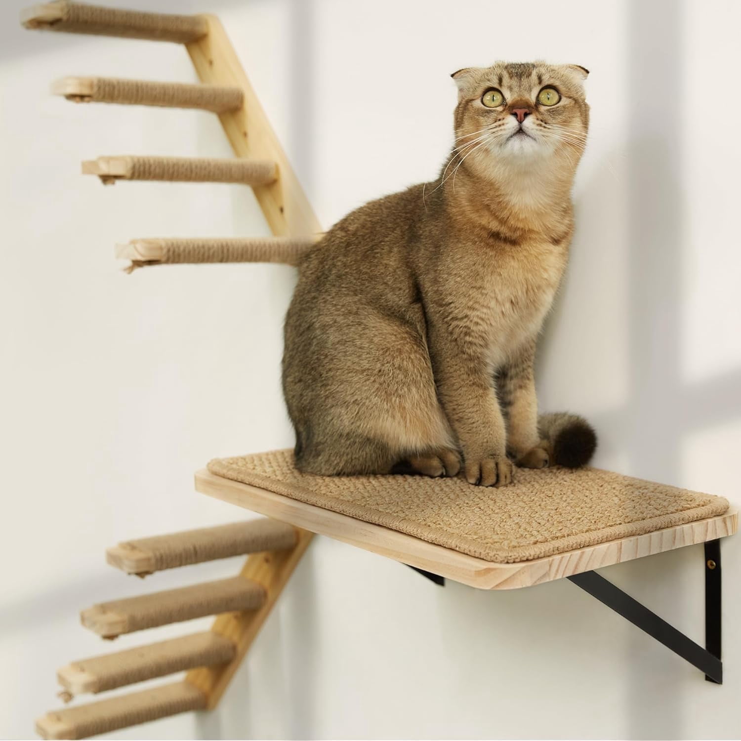 Peluomoz Natural Wood Cat Wall Set – 1 Shelf + 2 4-Step Stairs with ...