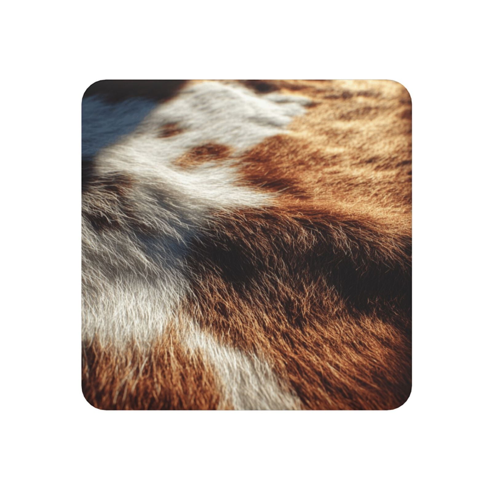 Strong Magnetic Refrigerator Magnets (2.1x2.1 Inch) - Durable ...