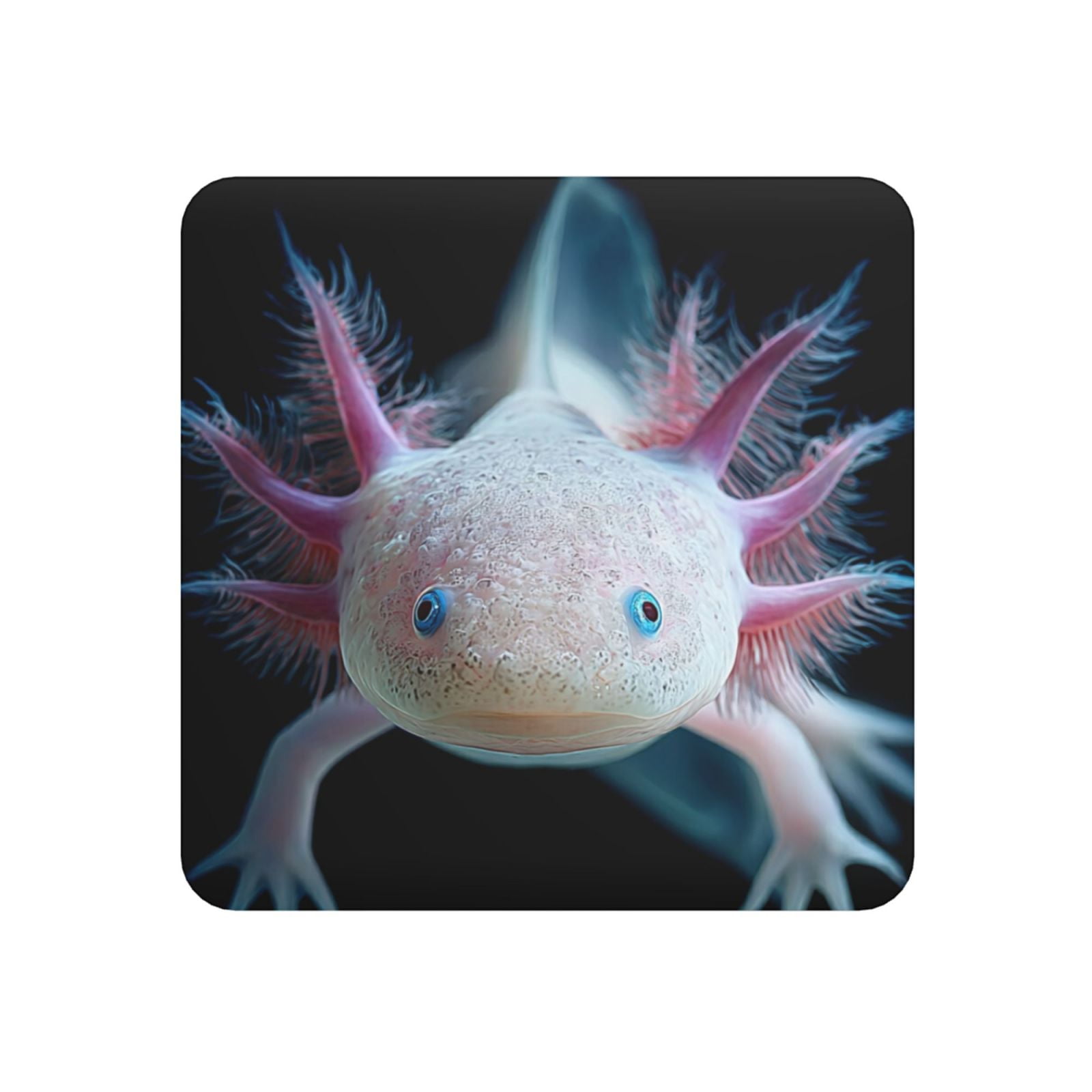 Strong Magnetic Refrigerator Magnets (2.1x2.1 Inch) - Durable ...