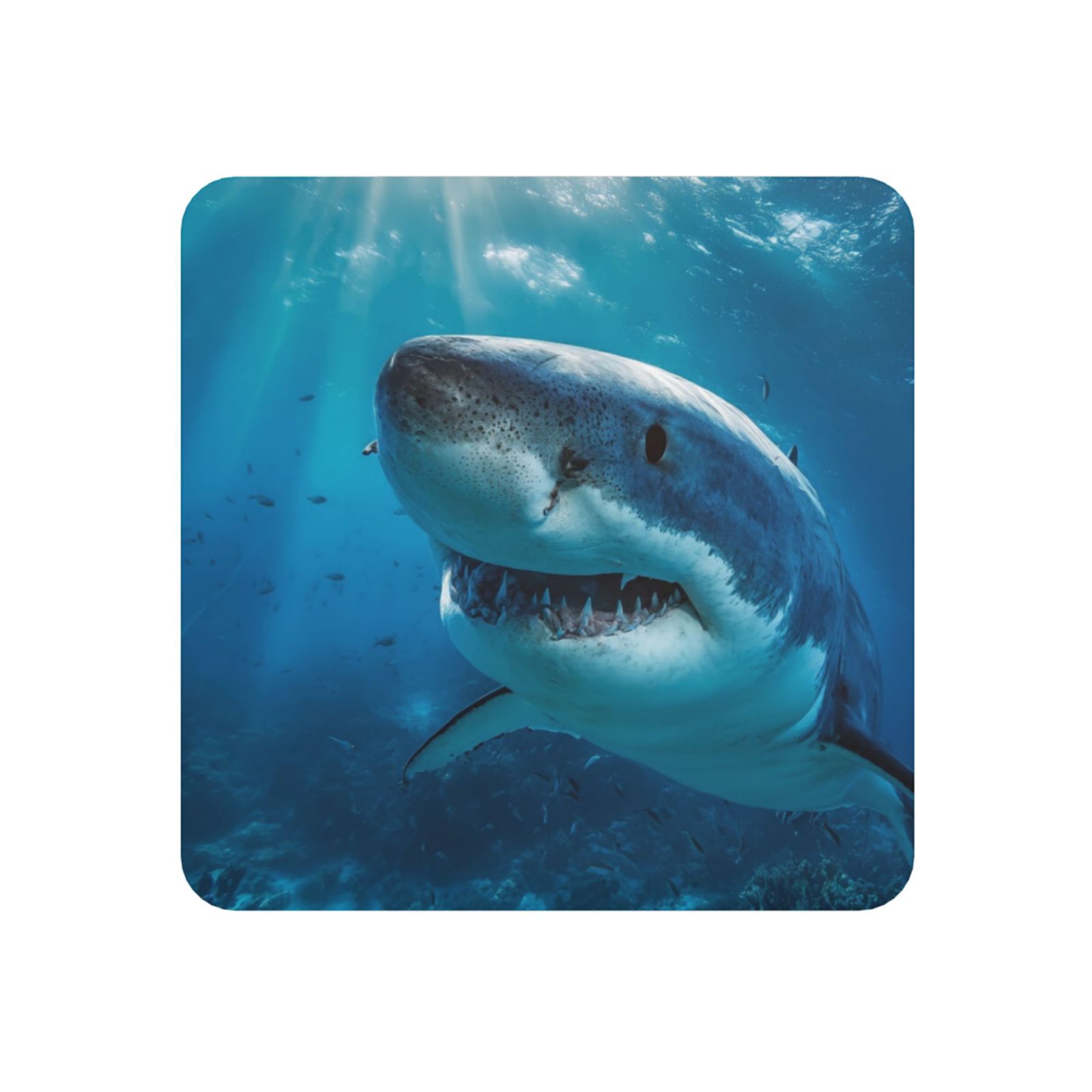 Strong Magnetic Refrigerator Magnets (2.1x2.1 Inch) - Durable ...