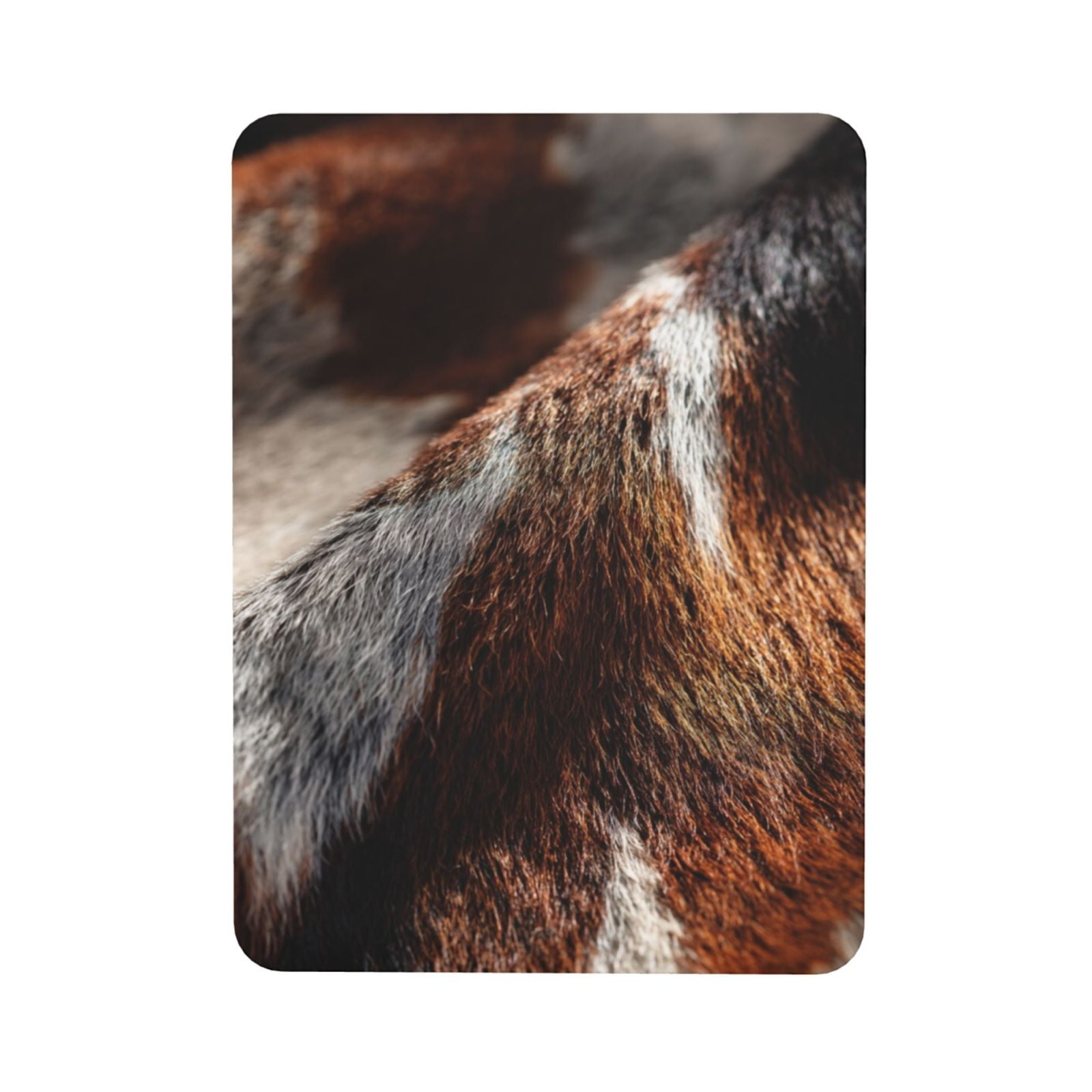 Strong Magnetic Refrigerator Magnets (2.1x3 Inch) - Durable, Decorative ...