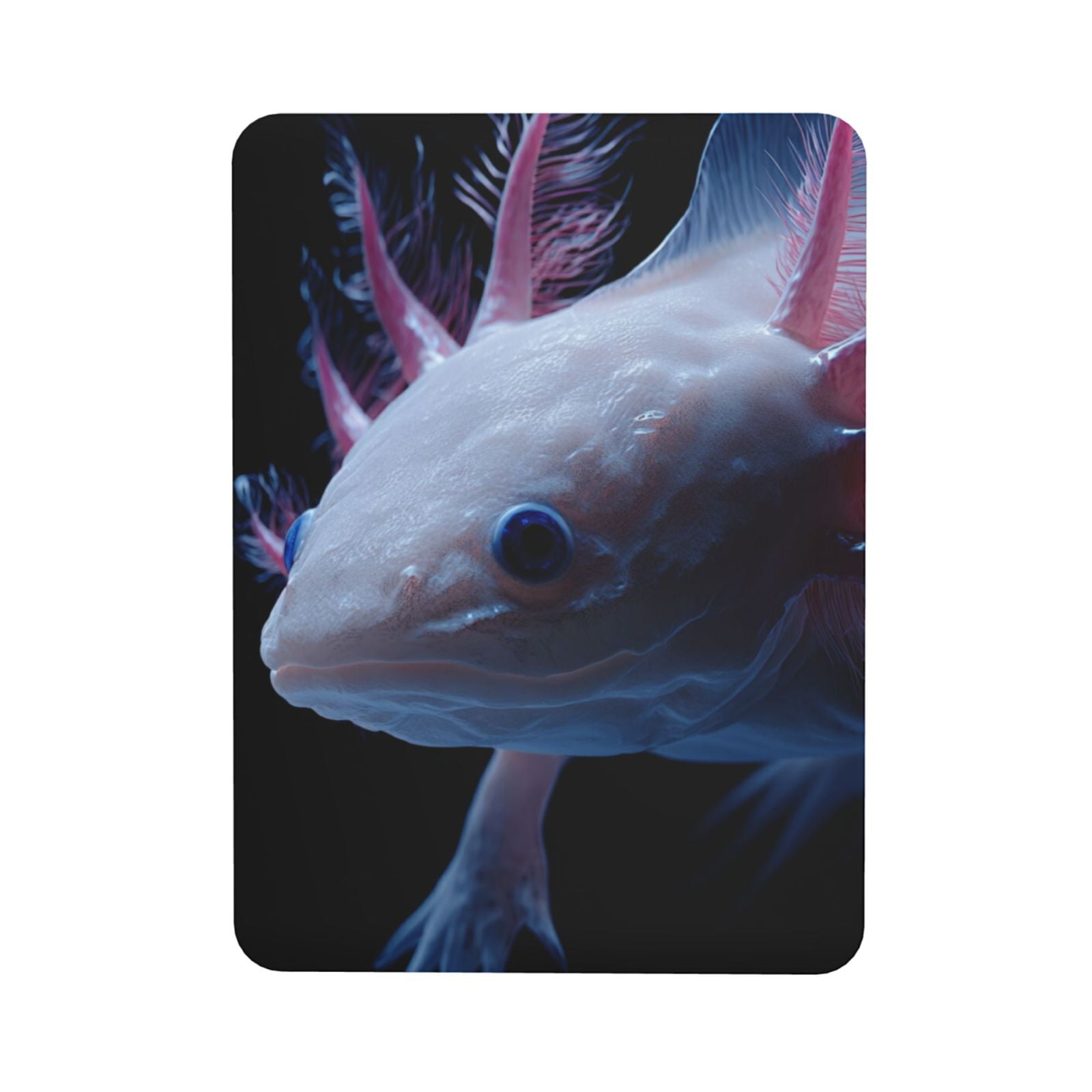 Strong Magnetic Refrigerator Magnets (2.1x3 Inch) - Durable, Decorative ...