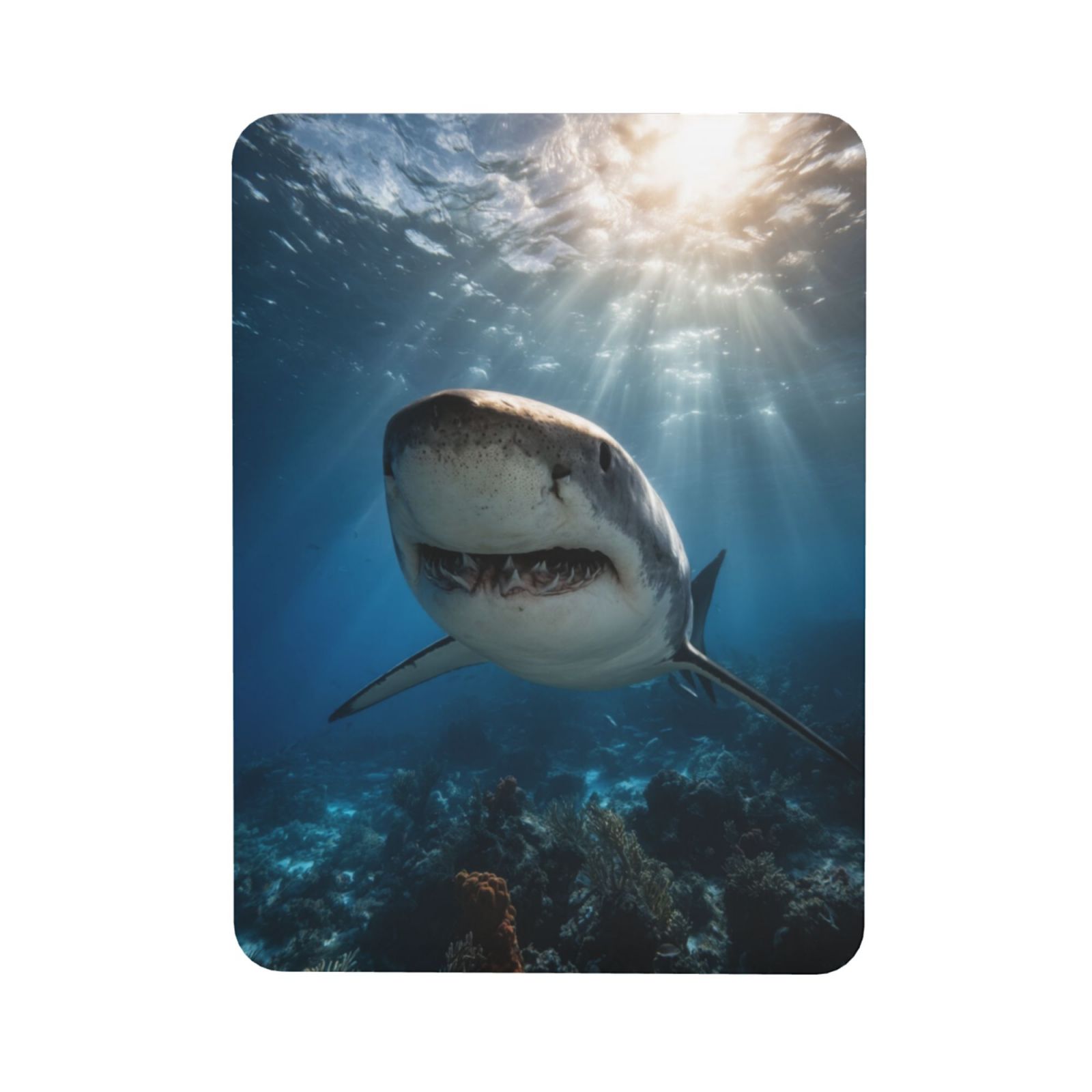 Strong Magnetic Refrigerator Magnets (2.1x3 Inch) - Durable, Decorative ...