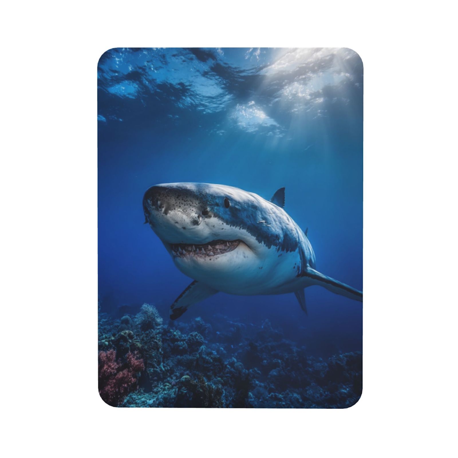 Strong Magnetic Refrigerator Magnets (2.1x3 Inch) - Durable, Decorative ...