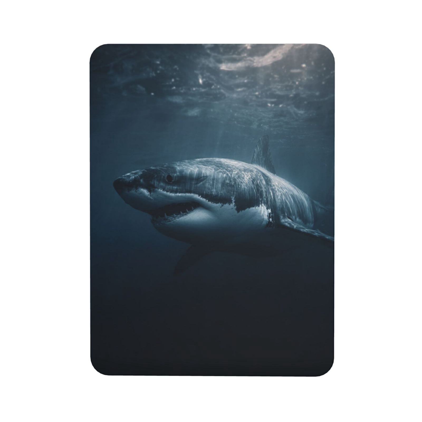 Strong Magnetic Refrigerator Magnets (2.1x3 Inch) - Durable, Decorative ...