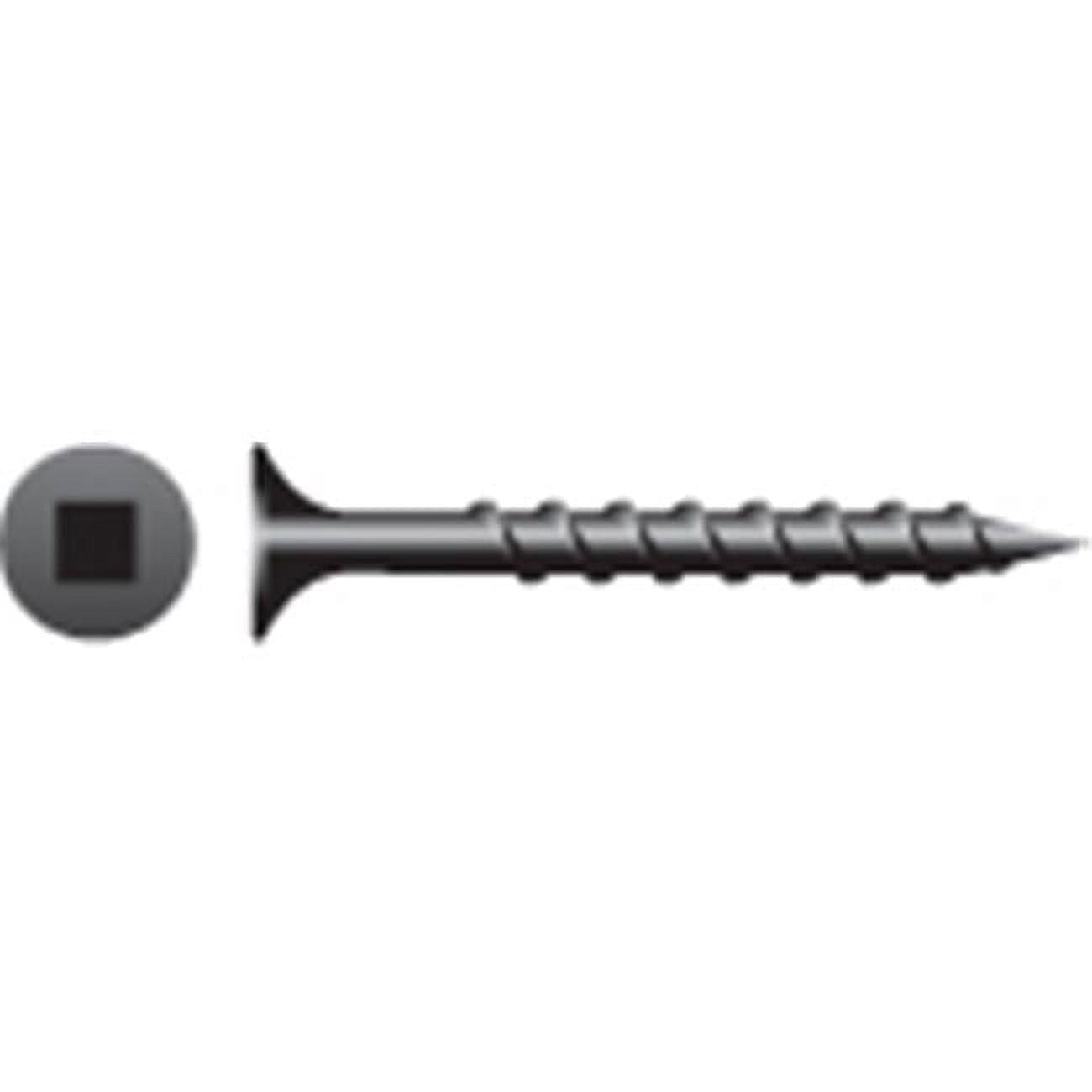Strong-Point 6 x 2 in. Square Bugle Head Screws Coarse Thread Phosphate ...