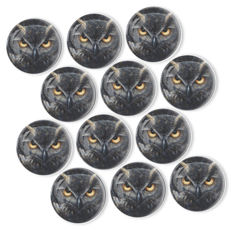 Strong Refrigerator Magnet Fridge Sticker, Balck Owl With Golden Eyes ...