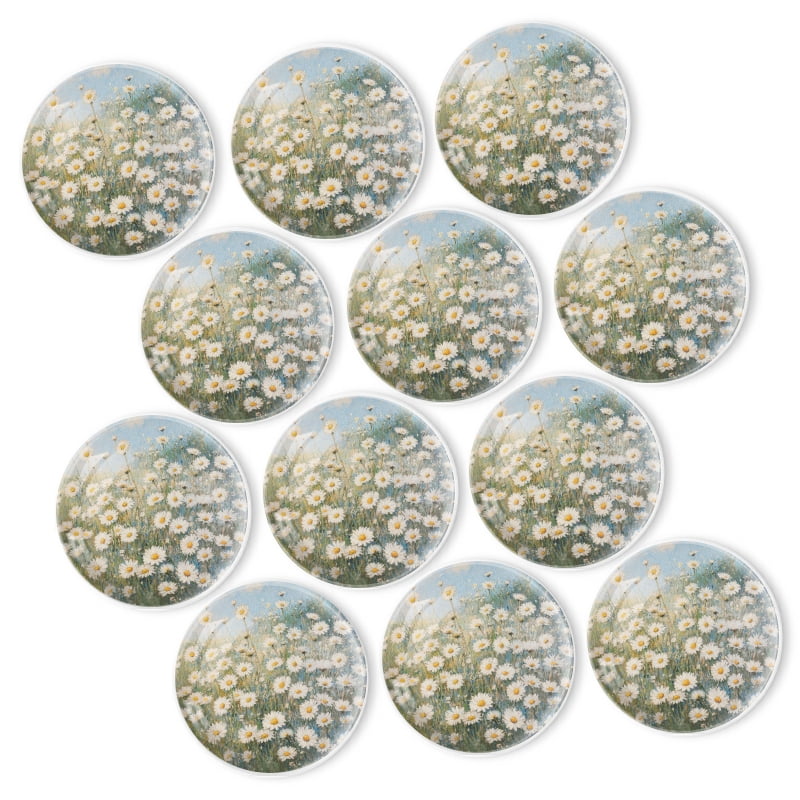 Strong Refrigerator Magnet Fridge Sticker, Field Of Blooming Daisies ...