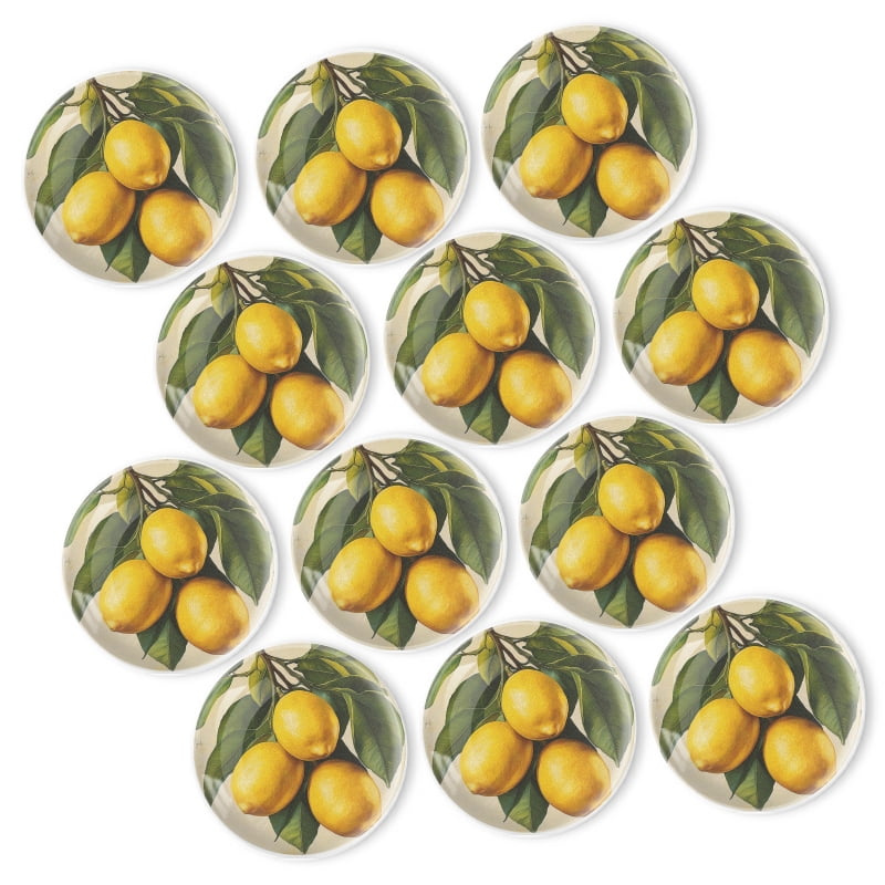 Strong Refrigerator Magnet Fridge Sticker, Plump Lemons Hang On The ...