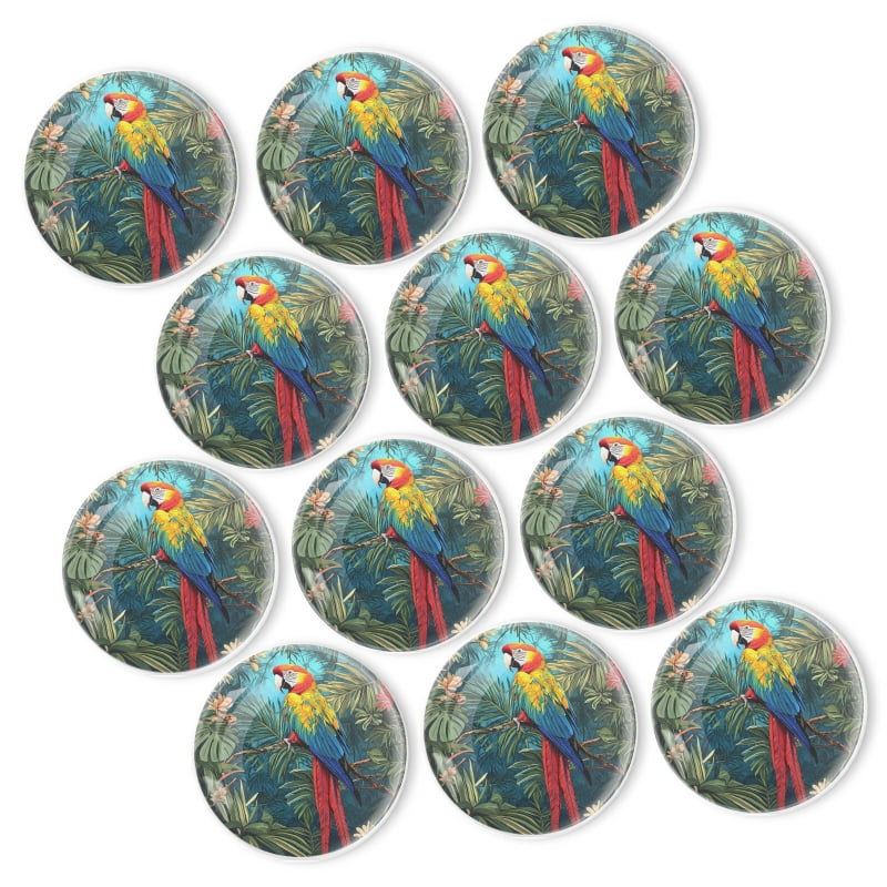 Strong Refrigerator Magnet Fridge Sticker, Tropical Macaw In Foliage ...
