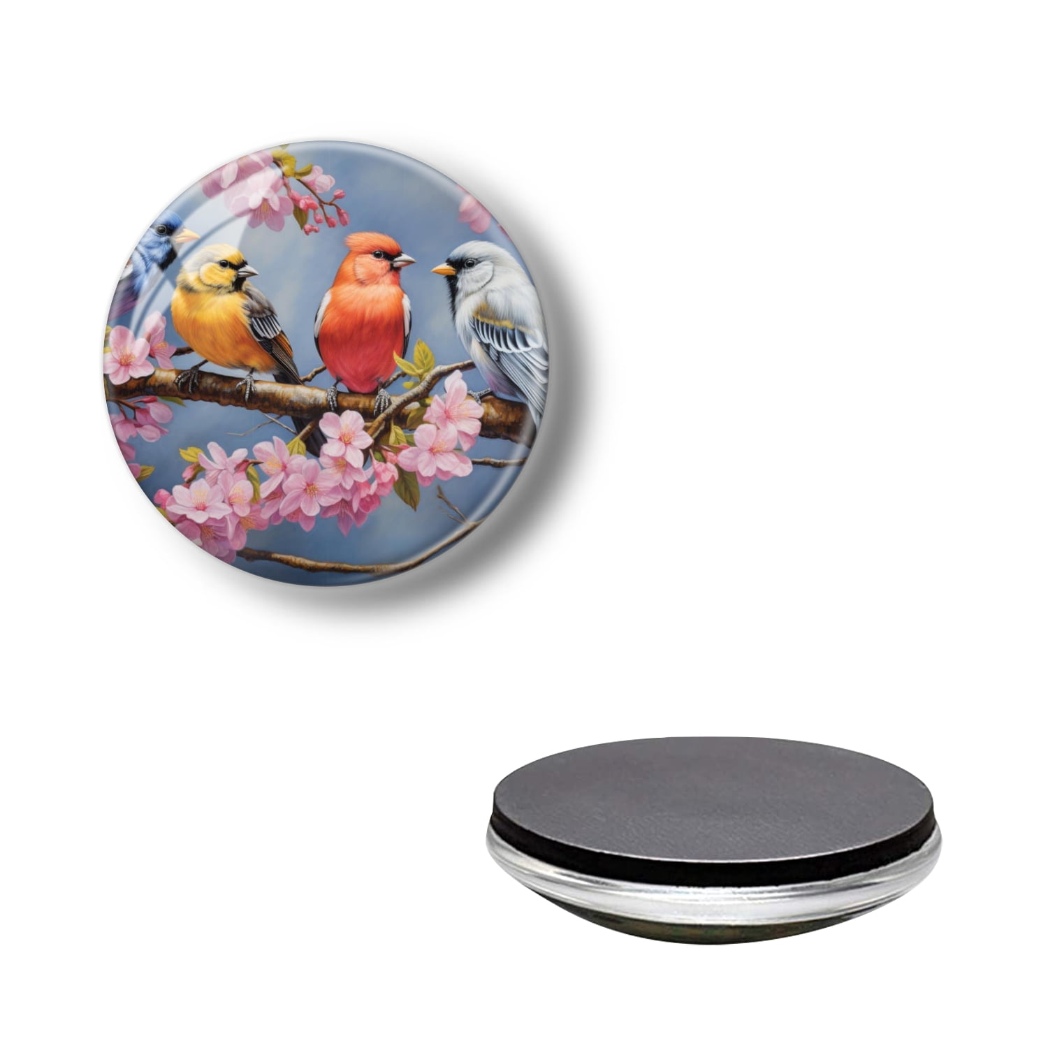 Strong Round Refrigerator Magnet Fridge Sticker, Colorful Birds Perched ...