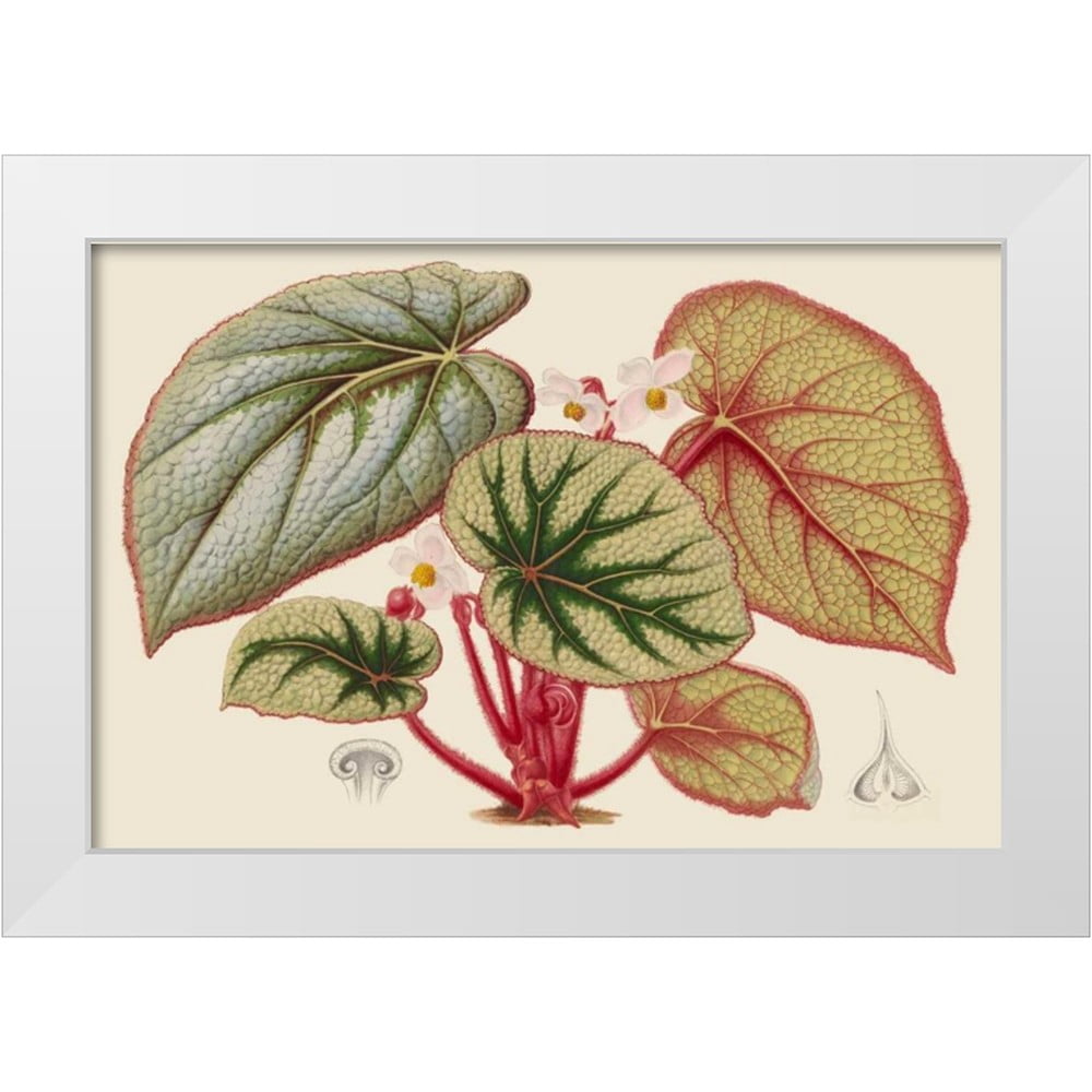 Stroobant 24x17 White Modern Wood Framed Museum Art Print Titled ...