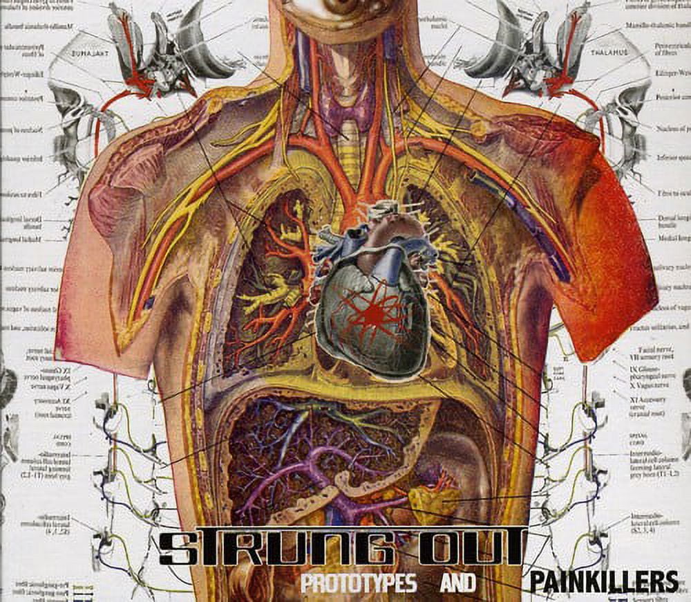 Strung Out - Prototypes and Painkillers - Punk Rock - CD - Walmart.com