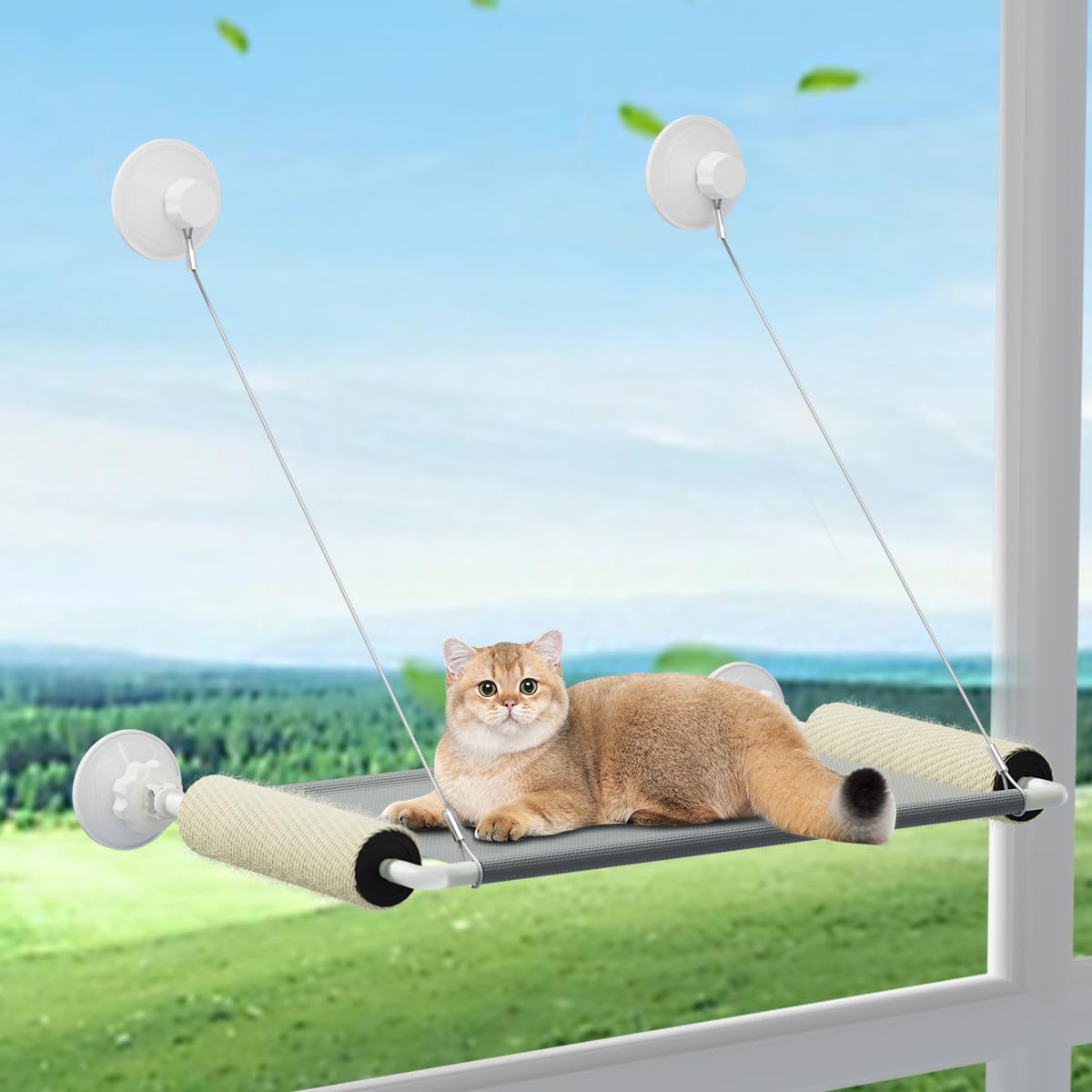Stryfull Hanging Perch with Scratcher - Window-Mounted Hammock Bed for ...