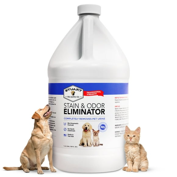 Enzyme Cleaners Dog Urine