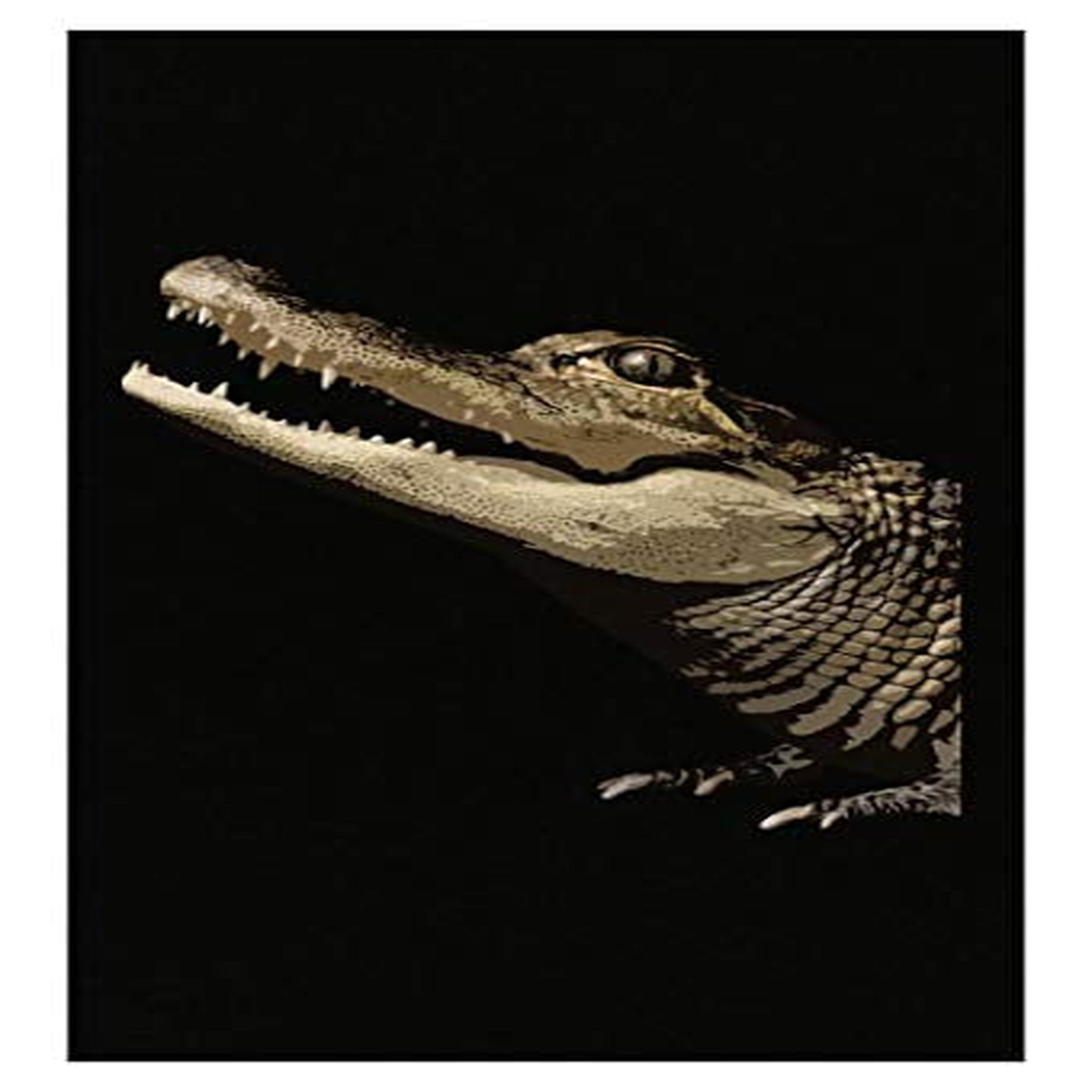 Alligator Poster Wall Art 13x19" - Vibrant Wildlife D√©cor for Home ...