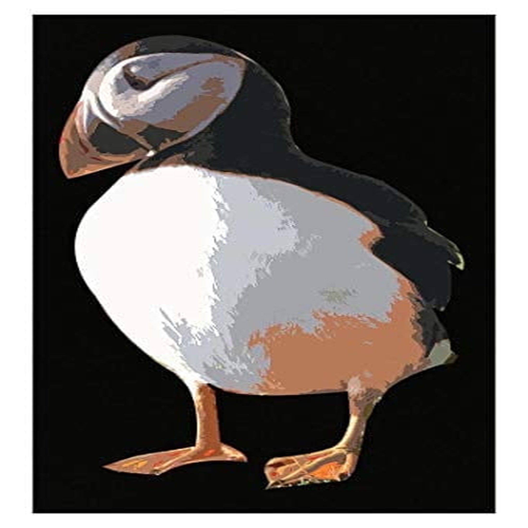 Cool Puffin Poster - Large Beak Seafowl Art for Your Home or Office ...
