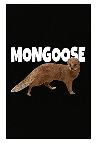 Stuch Strength Funny Mongoose - Herpestes Viverrine Mammal Animal ...