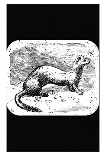 Funny Weasel - Polecat Mink - Mustelid Humor - Poster | Size: 13x19 ...