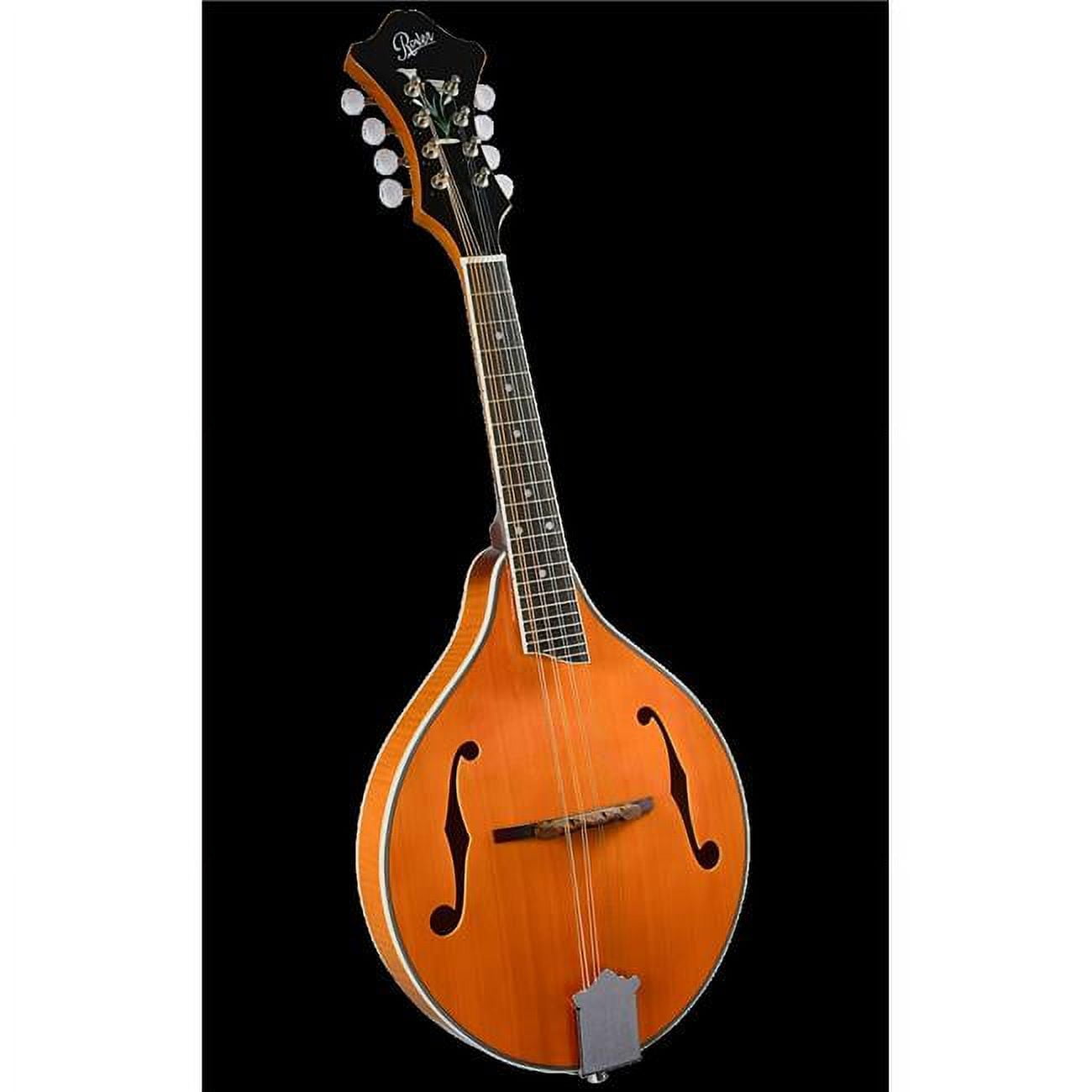 Student A-Model Mandolin with ABS Dots - Amber - Walmart.com