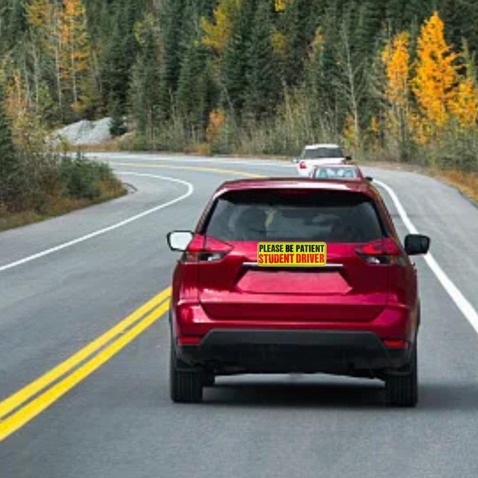 Student Driver Practice Reflective Sticker Car Novice Grid Car Sea ...