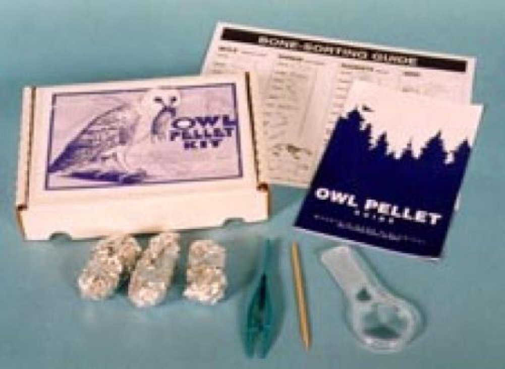 Student Owl Pellet Kit - Walmart.com