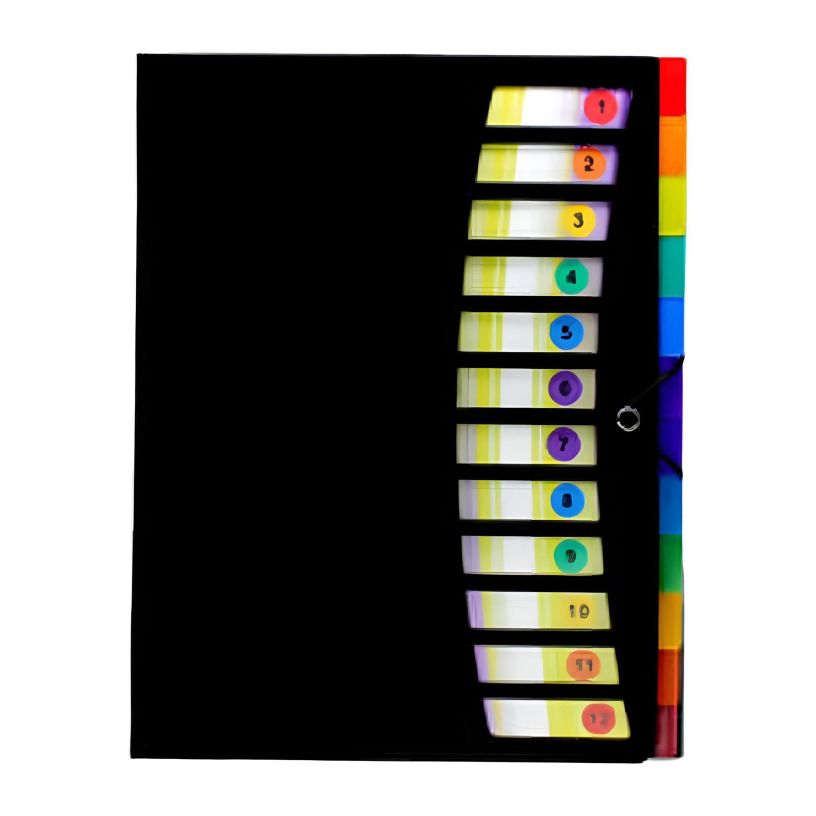 Student Paper Folder, Classification Folder, Pp Folder, Black,A4 Size ...