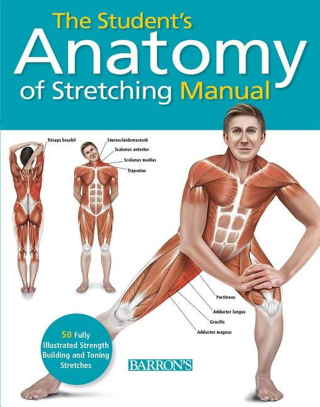 Student's Anatomy of Stretching Manual: 50 Fully-Illustrated Strength ...