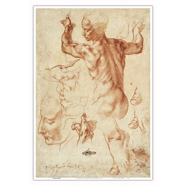 Studies for the Libyan Sibyl - From an Original Red Chalk Drawing by ...