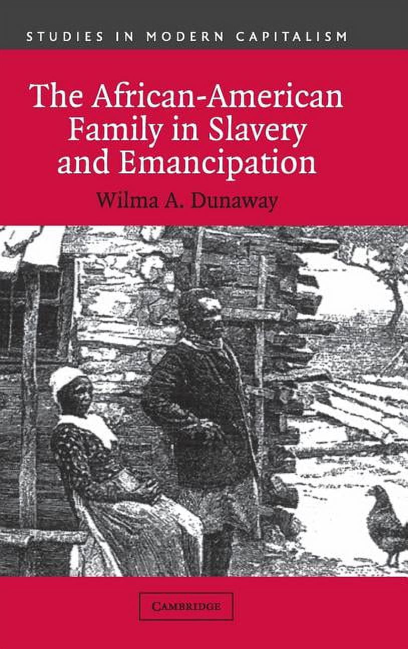 Studies in Modern Capitalism The African-American Family in Slavery and ...