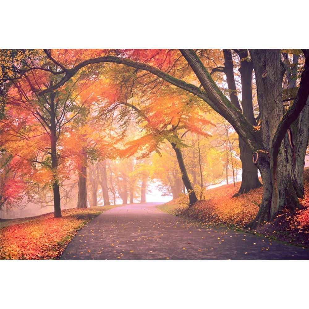 Studio Background Photo Party Wedding Landscape Natural Real Leaves ...
