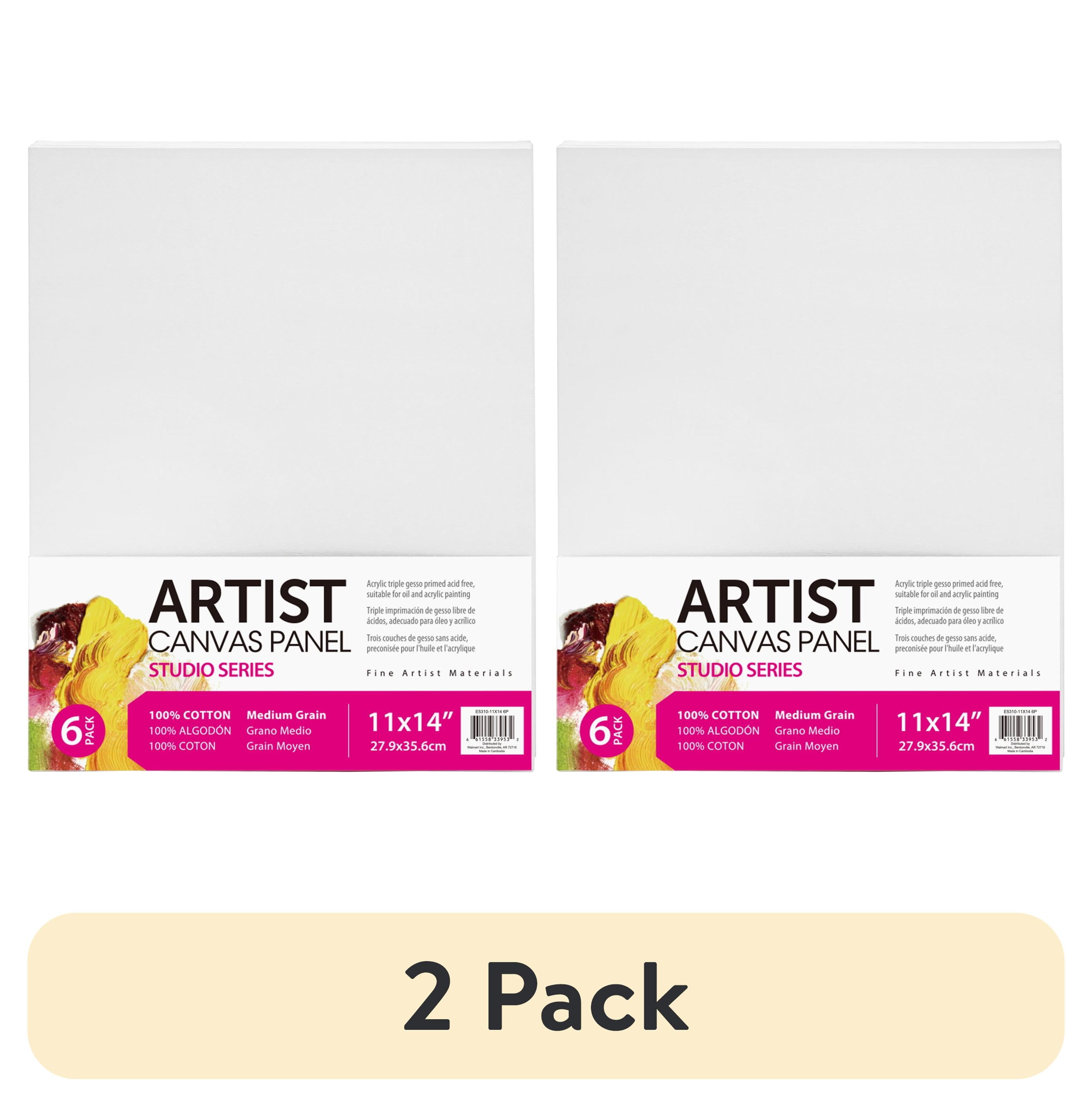 (2 pack) Studio Canvas Panel, 100% Cotton Acid Free White Canvas, 11 ...