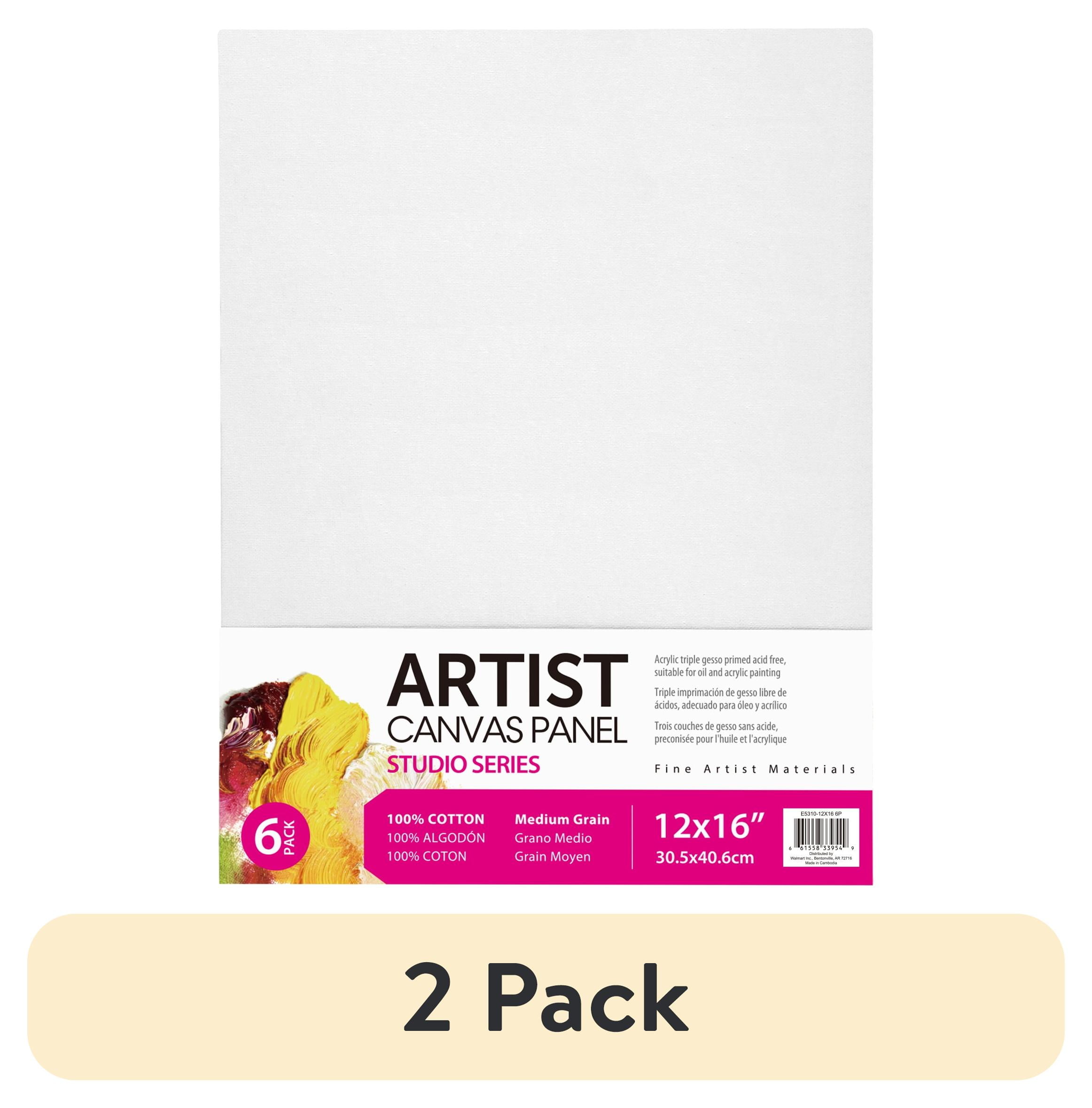 (2 pack) Studio Canvas Panel, 100% Cotton Acid Free White Canvas, 12 ...