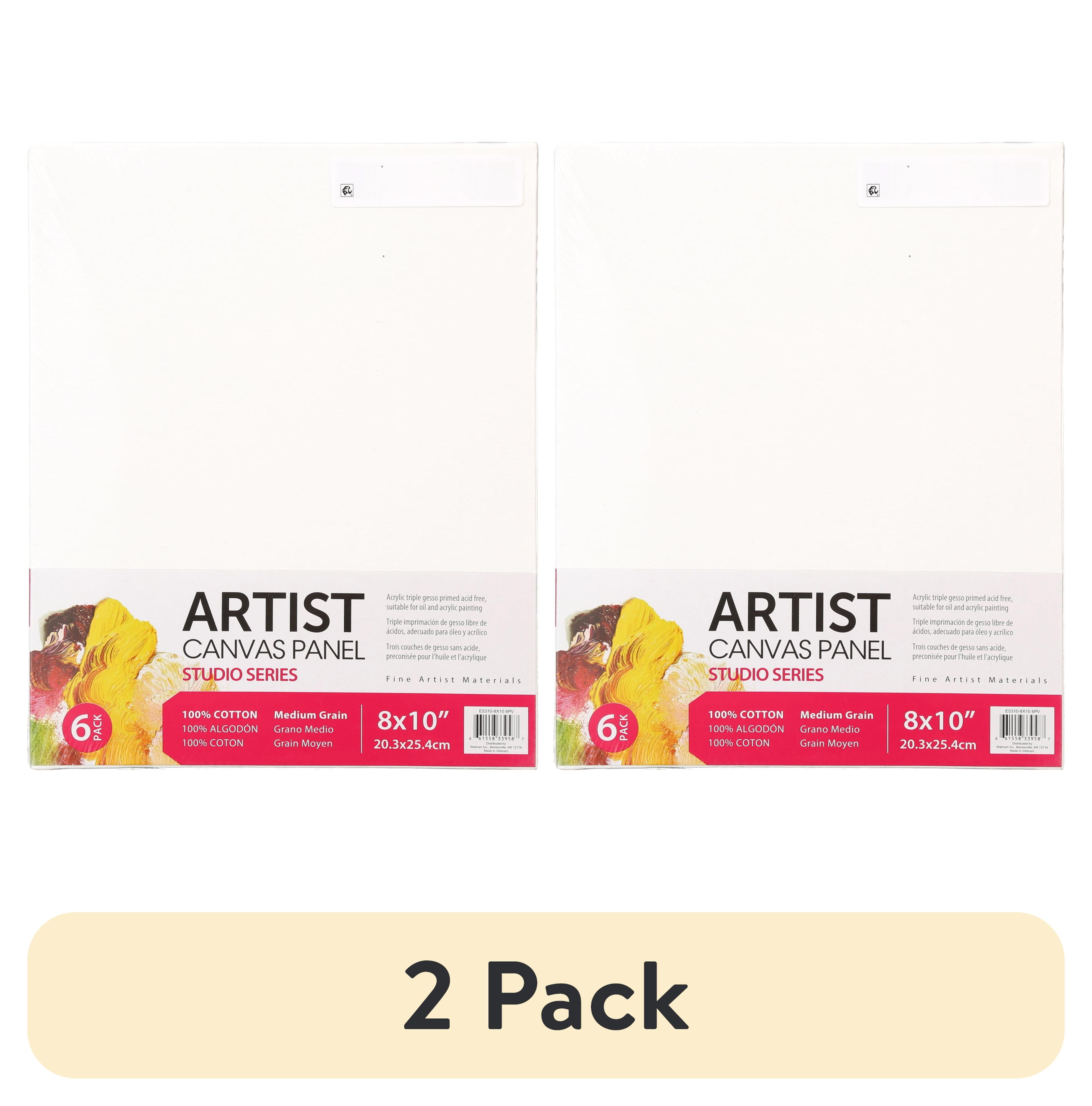 (2 pack) Studio Canvas Panel, 8"X10", 6 Pack, 100% Cotton Acid Free ...