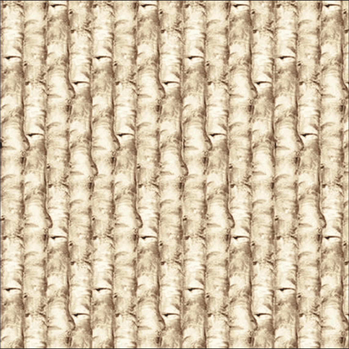 Studio E Auburn Fox Bark Texture Tan Cotton Fabric by The Yard ...