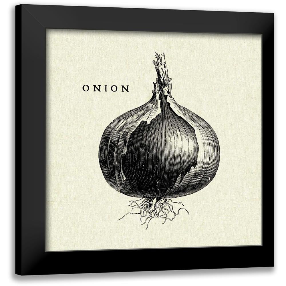 Studio Mousseau 15x15 Black Modern Framed Museum Art Print Titled - Linen Vegetable BW Sketch ...