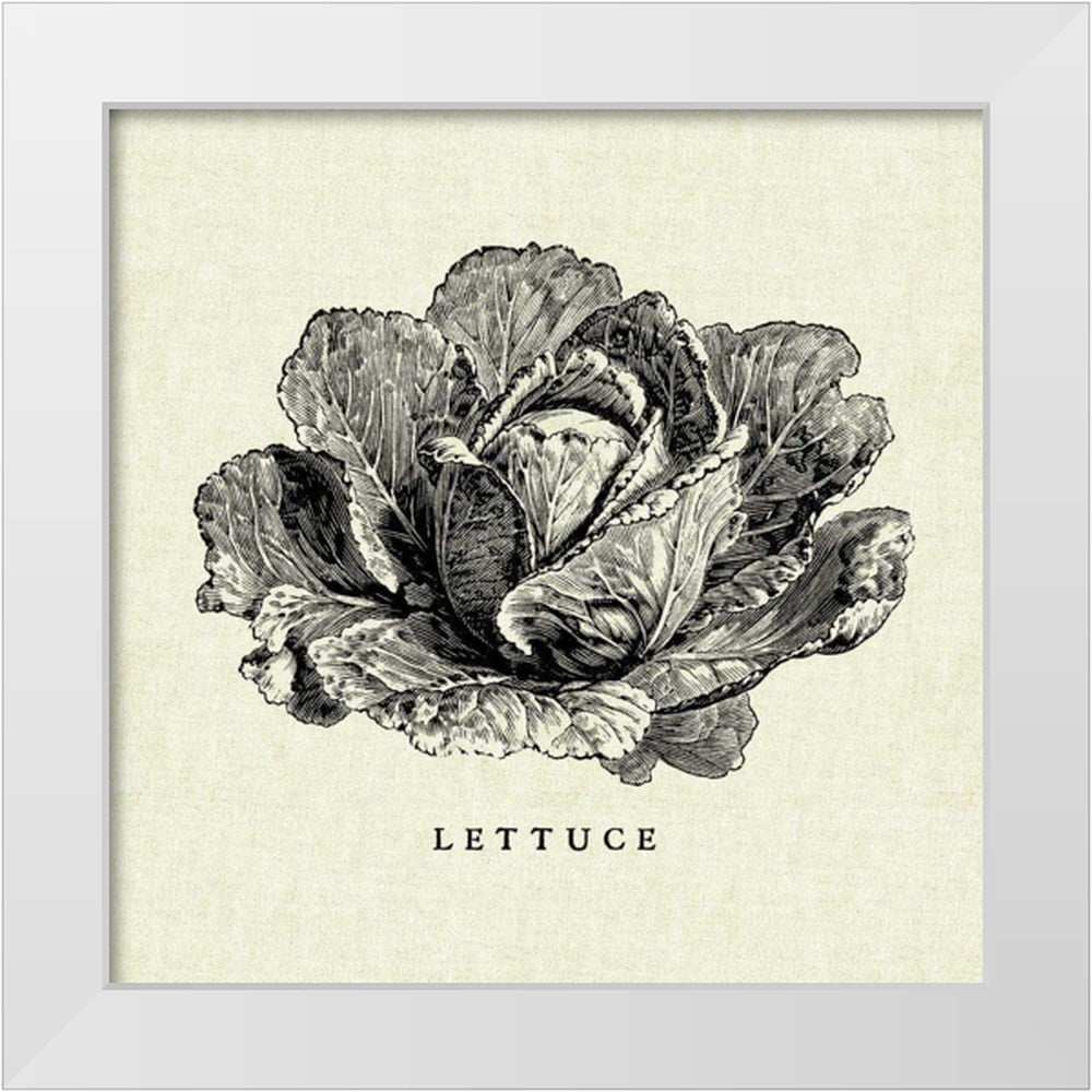 Studio Mousseau 15x15 White Modern Wood Framed Museum Art Print Titled ...