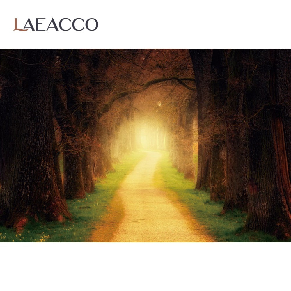 Studio Photo Backdrop Photographic View Scenic Party Hole Mystery Way ...