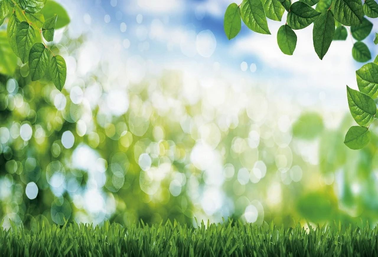 Studio Photo Backdrops Photo Backgrounds Photo Scenic Sunshine Grass ...